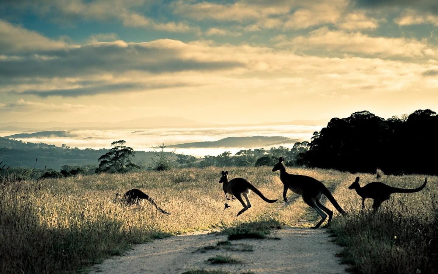 Unique Australian Landscape Photography - 5th is Very Creative - Live ...