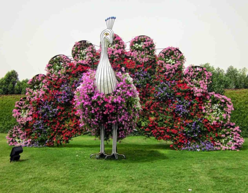 Beautiful & Unique Flower Garden Pictures Of 2021 - Live Enhanced