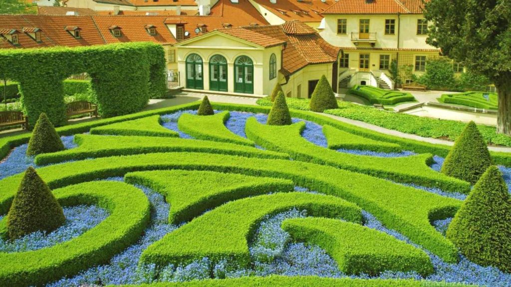 Beautiful & Unique Flower Garden Pictures Of 2021 - Live Enhanced