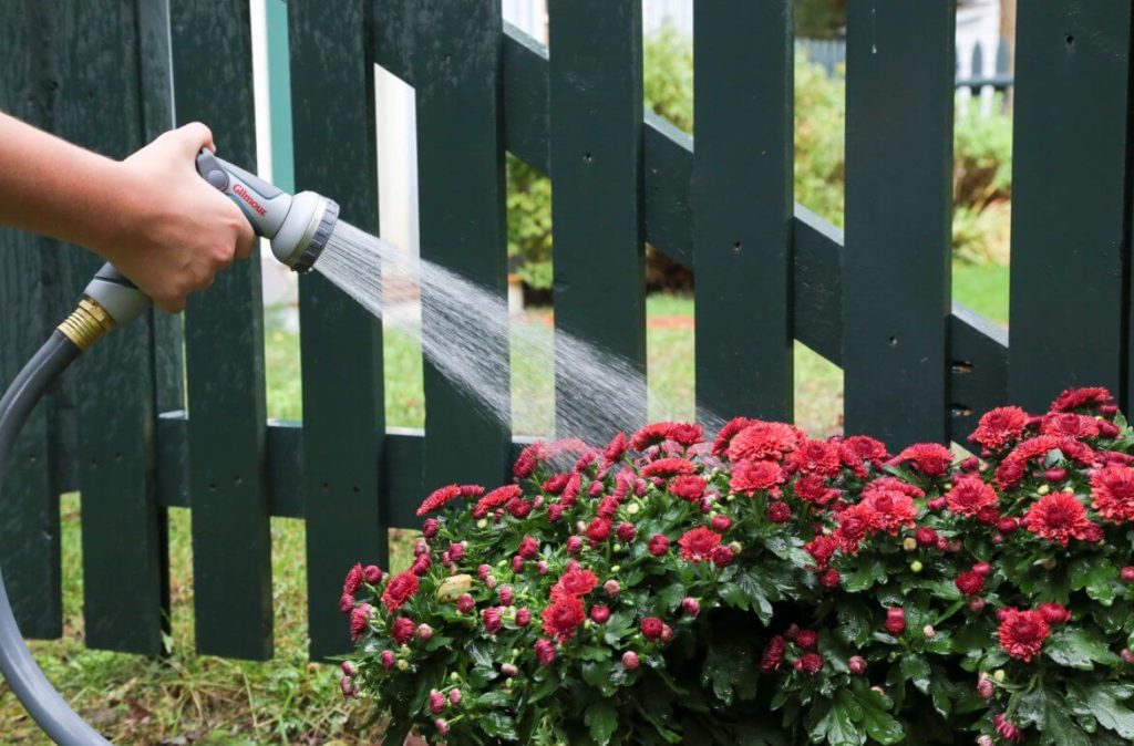 Your Ultimate Guide To Garden Watering - Live Enhanced