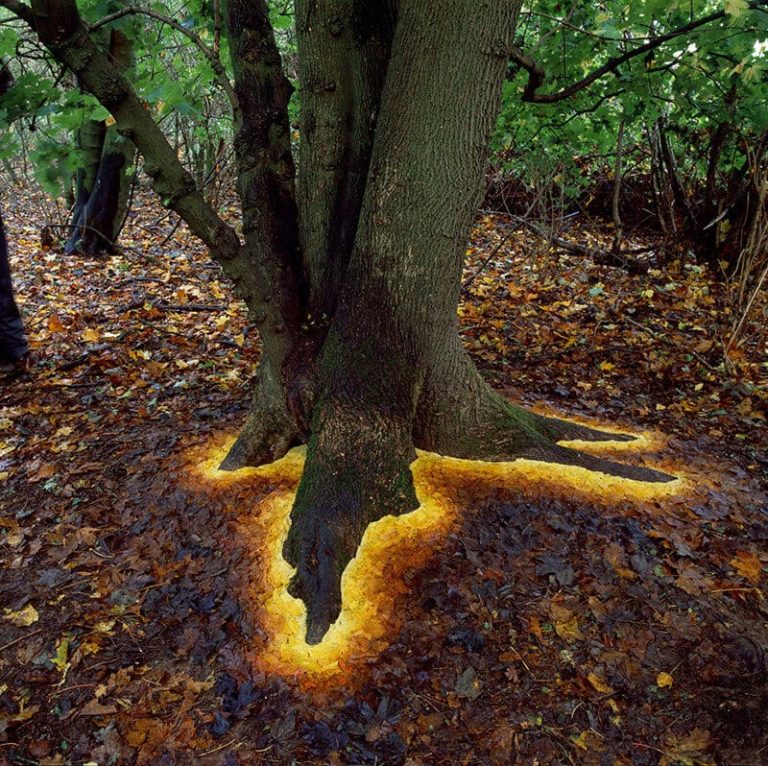 Andy Goldsworthy Art: Exploring 35+ Breathtaking Works - Live Enhanced