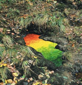 Andy Goldsworthy Art: Exploring 35+ Breathtaking Works - Live Enhanced