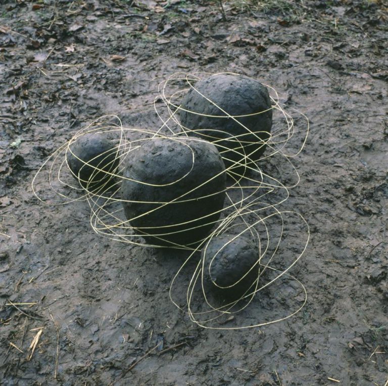 Andy Goldsworthy Art: Exploring 35+ Breathtaking Works - Live Enhanced