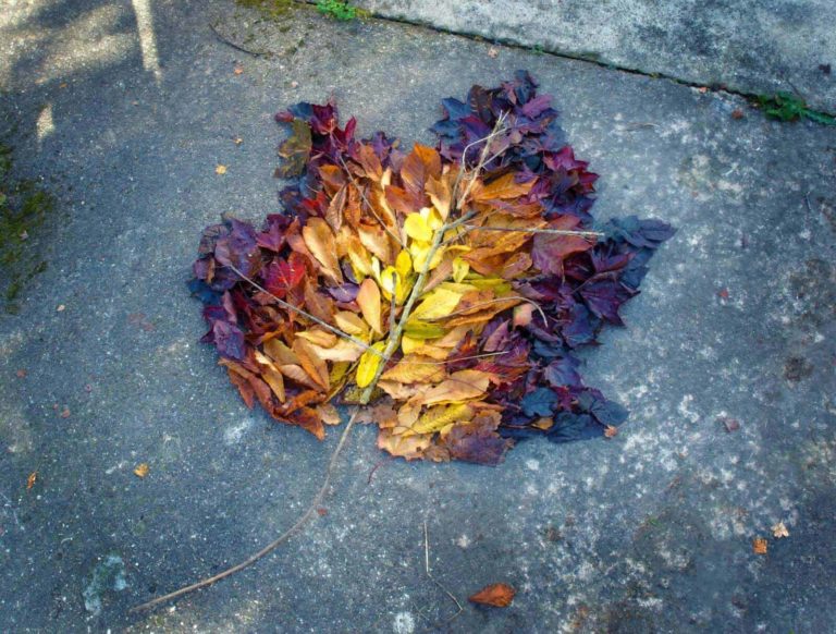 Andy Goldsworthy Art: Exploring 35+ Breathtaking Works - Live Enhanced