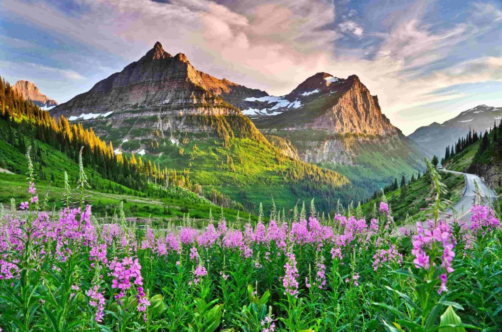 Best Places for Summer Vacations in the USA - Live Enhanced