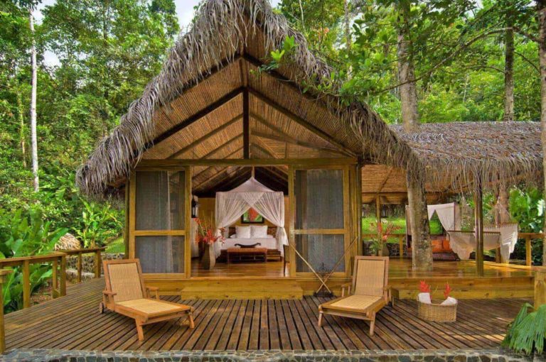 World's Best Top 10 Forest Resort and Lodges - Live Enhanced