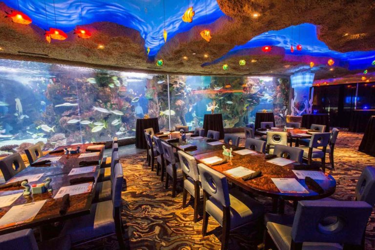 World's Best Underwater Restaurant and Bar - Live Enhanced