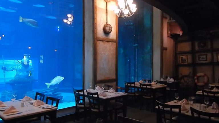 World's Best Underwater Restaurant and Bar - Live Enhanced