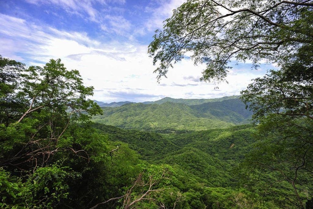 Beautiful Natural park in Guanacaste Province, Costa Rica - Live Enhanced