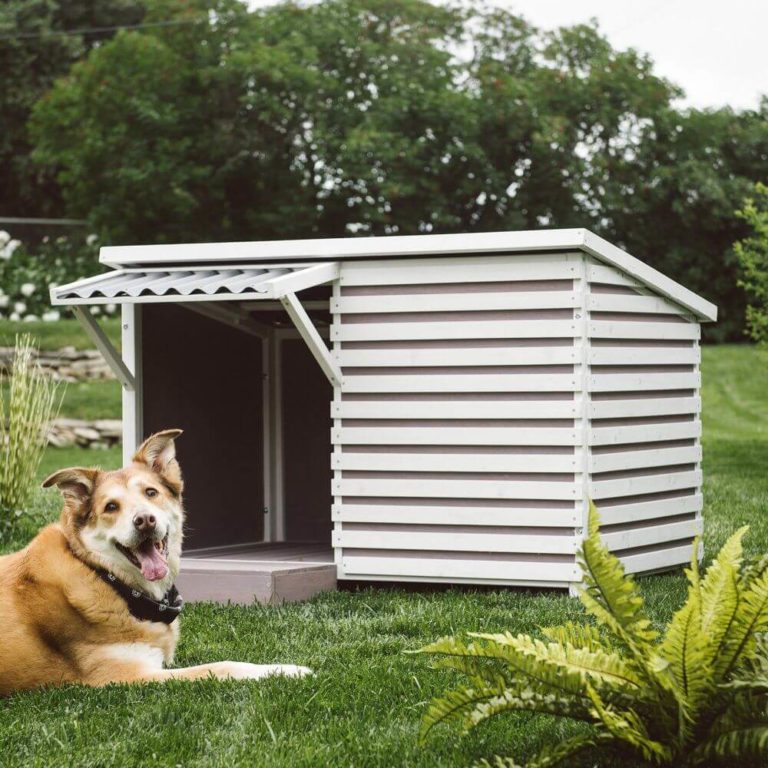 Unique and Fancy Pet House Design You'll Love It - Live Enhanced