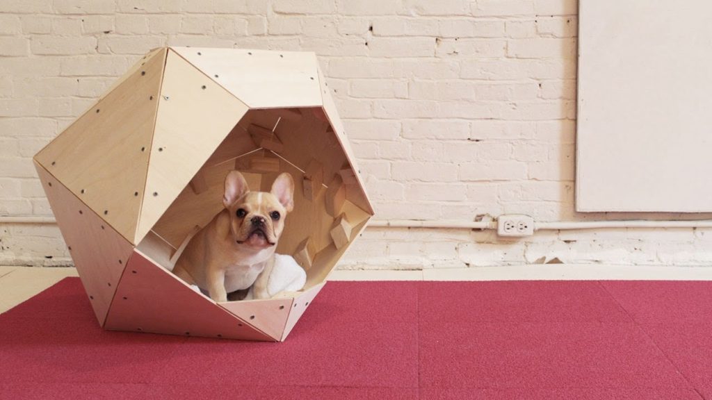 Unique and Fancy Pet House Design You'll Love It - Live Enhanced