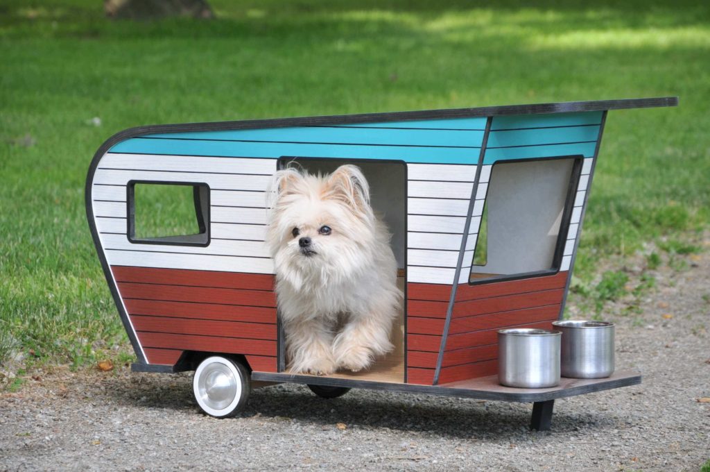 Unique and Fancy Pet House Design You'll Love It - Live Enhanced