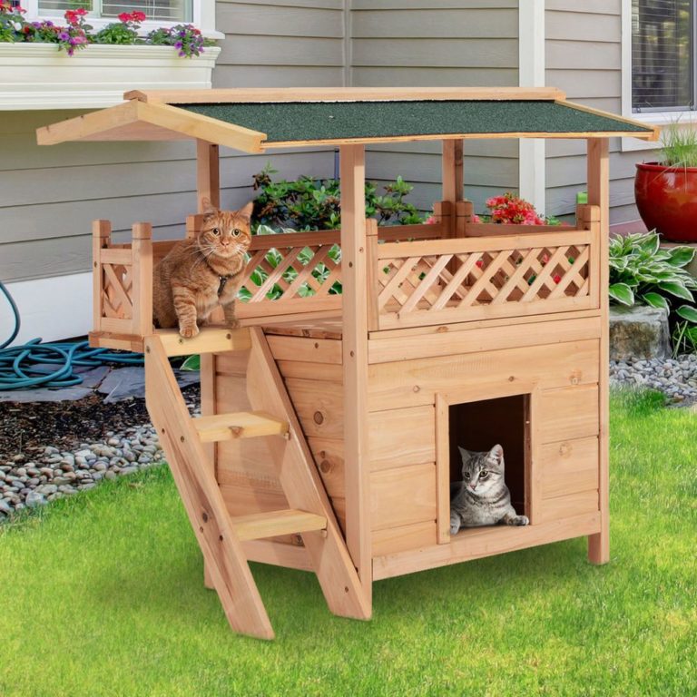 Unique and Fancy Pet House Design You'll Love It - Live Enhanced