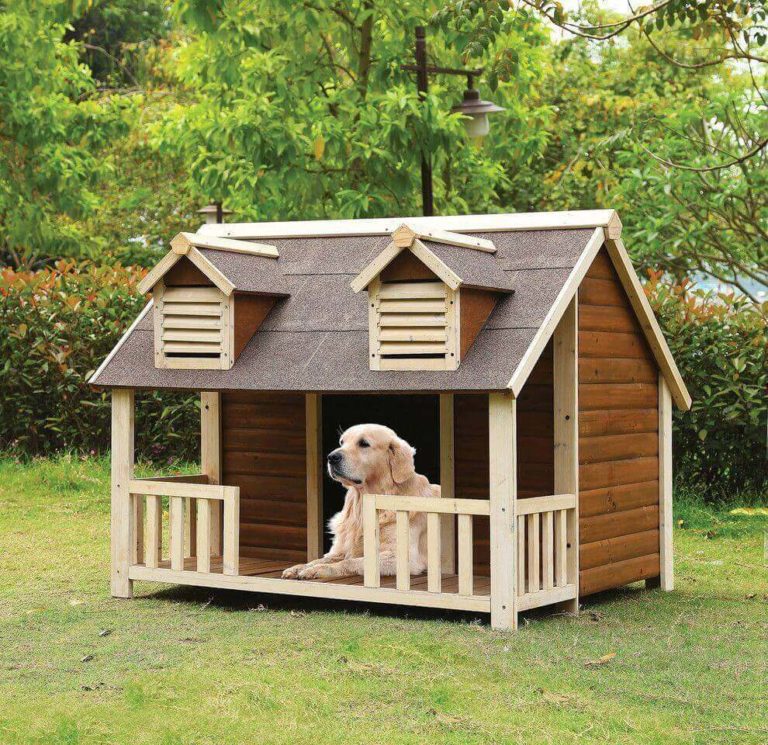 Unique and Fancy Pet House Design You'll Love It - Live Enhanced