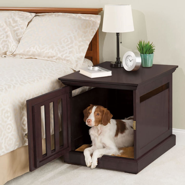 Unique and Fancy Pet House Design You'll Love It - Live Enhanced