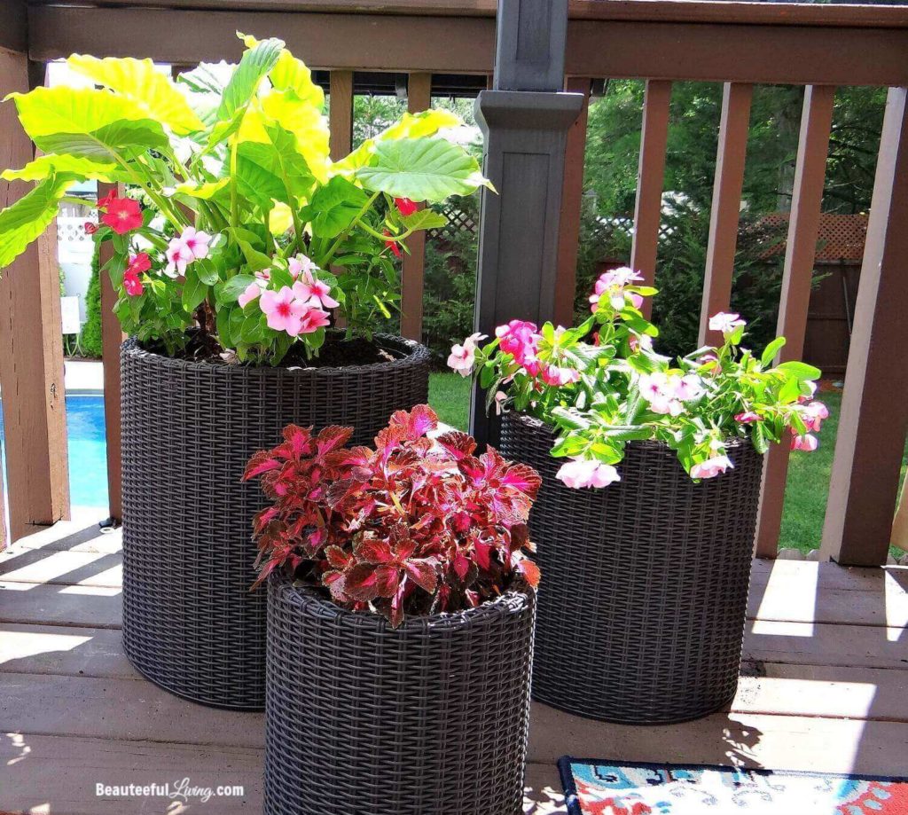Decorative Resin Pot and Plants for Your Garden - Live Enhanced