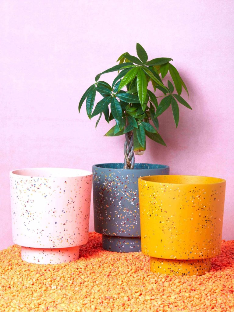 Decorative Resin Pot and Plants for Your Garden - Live Enhanced