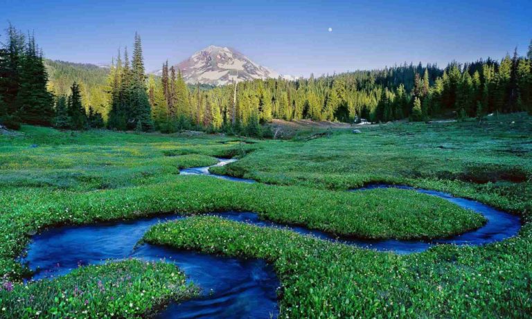 Beautiful Famous Natural Photography Photos and Pixels - Live Enhanced