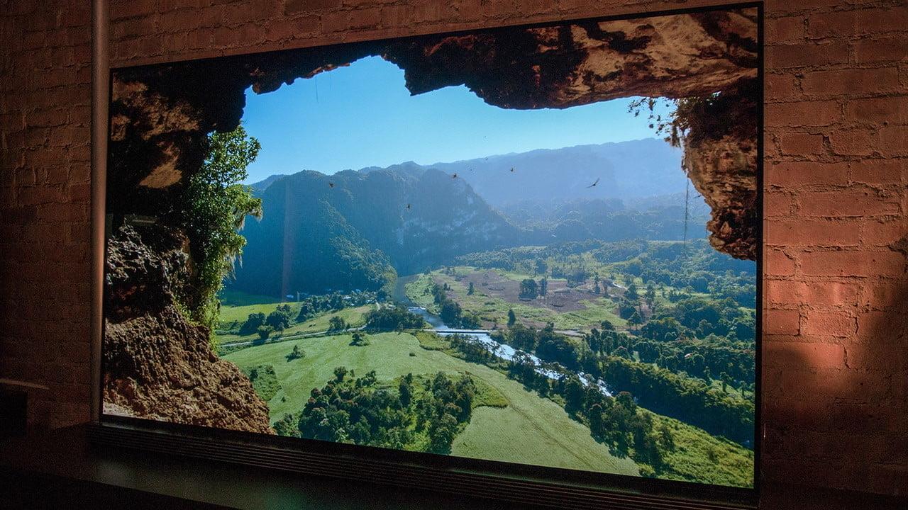 Projector Vs Monitor: Which is Best For Your Home? - Live Enhanced