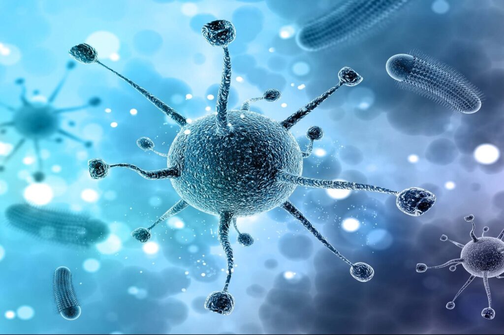 Cat Que Virus: Another Virus from China Is Infected, Humans?