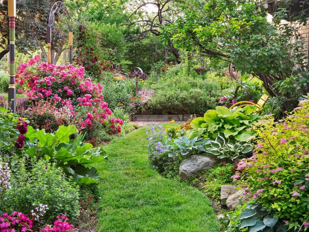 Useful Tips and Tricks for an Amazing Garden - Live Enhanced