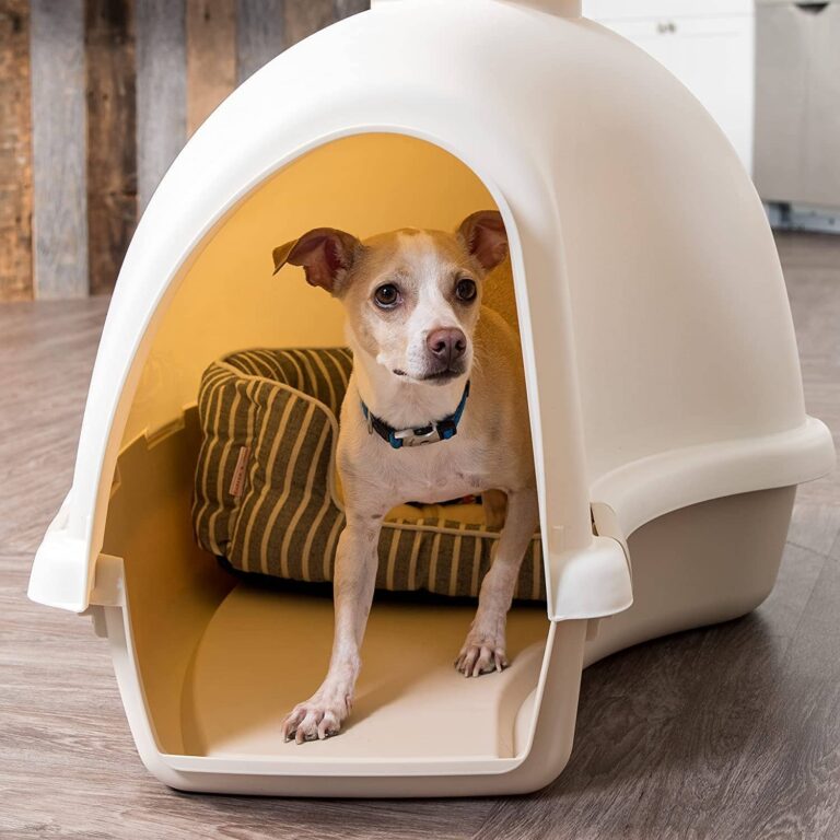 10 Stunning Indoor Dog House Design Ideas - Live Enhanced
