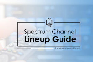 Everything You Need to Know About Spectrum Silver Channel