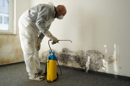 The Step-By-Step Guide to the Professional Mold Remediation Process