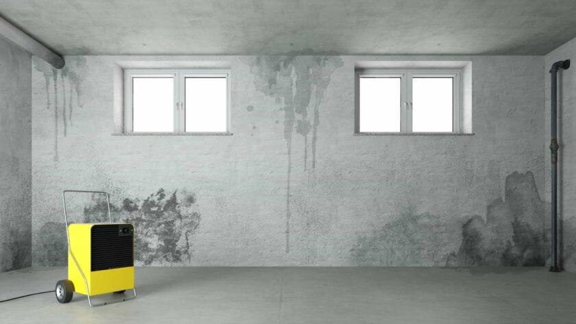 How to Stop Damp in Basement? - Live Enhanced