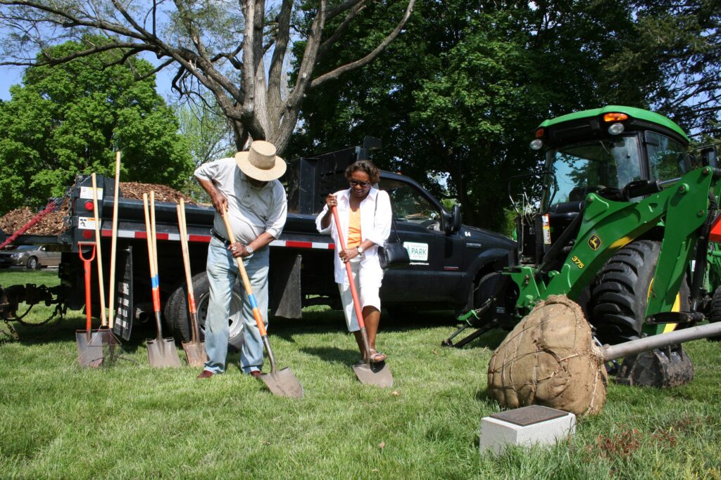 Take A Look At The Ins And Outs Of Memorial Tree Planting