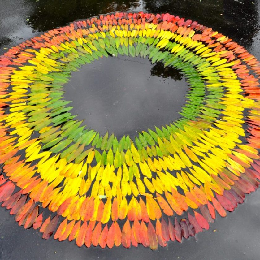 20 Most Beautiful Andy Goldsworthy Art and Images - Live Enhanced